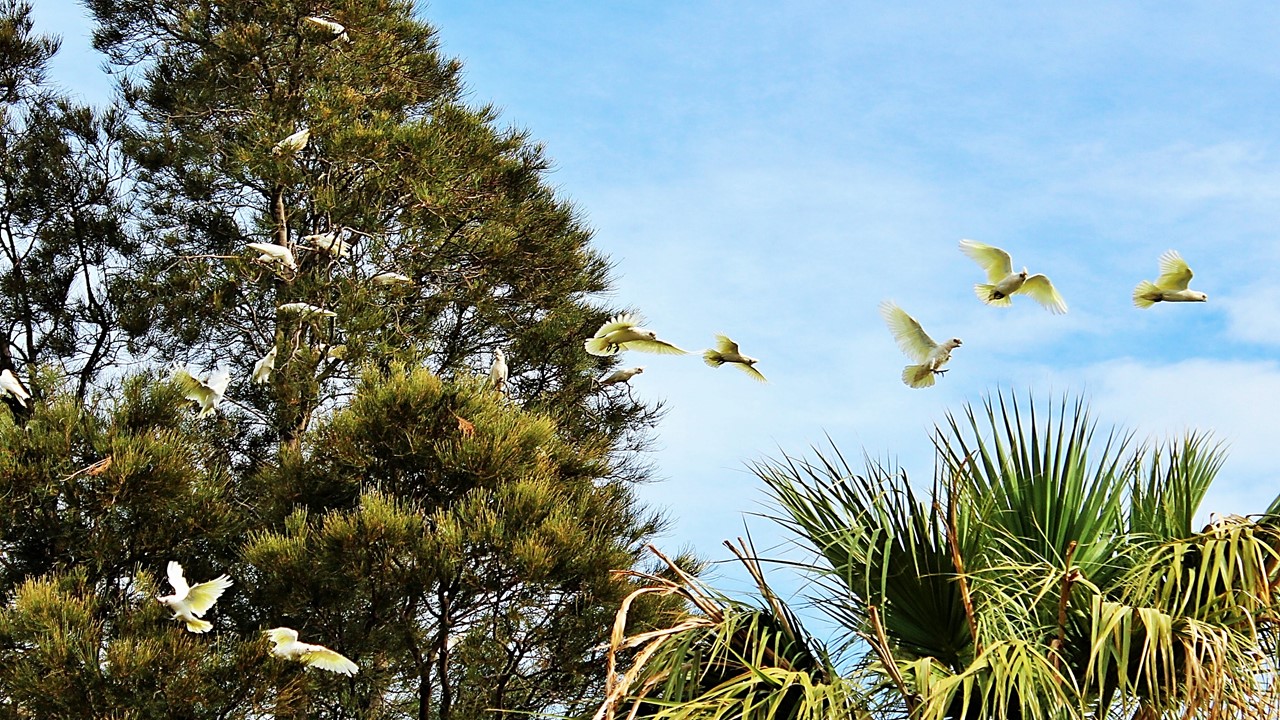 From The Archives ! 2020 | West Oz Photography